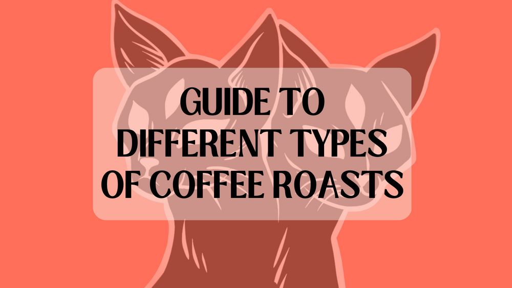 What are the Different Types of Coffee Roasts? – Morning Spell Coffee
