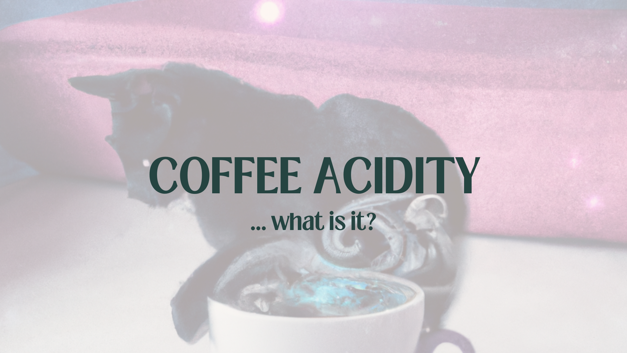 What is Coffee Acidity? – Morning Spell Coffee