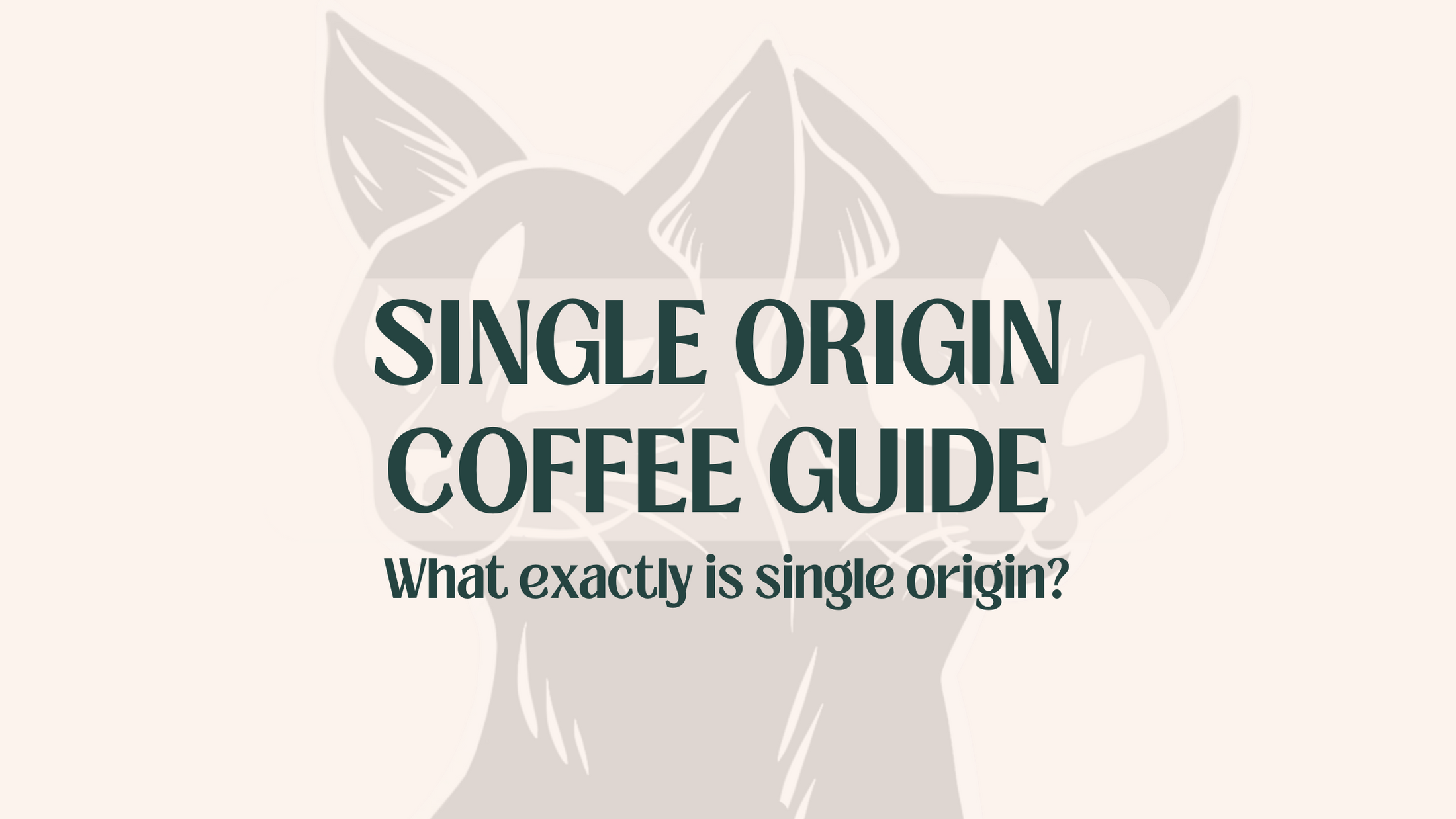 What is Single Origin Coffee? – Morning Spell Coffee